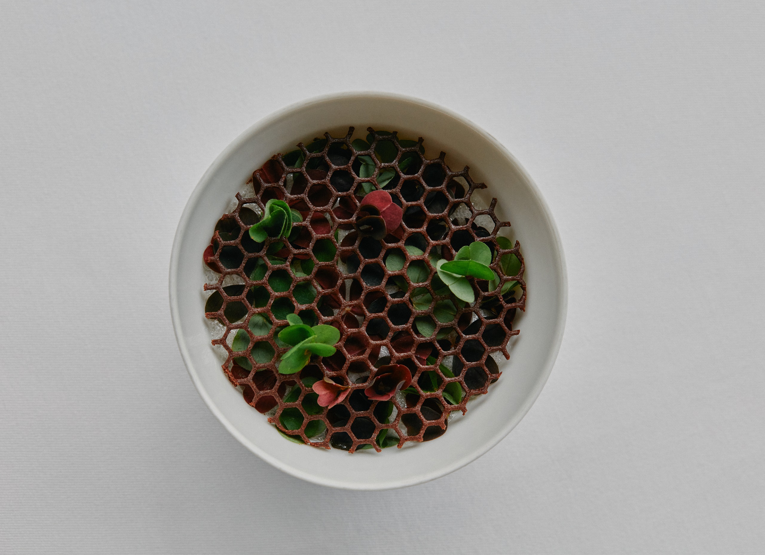 7132 Hotel: Silver - Gastronomic Excellence in the Swiss Alps